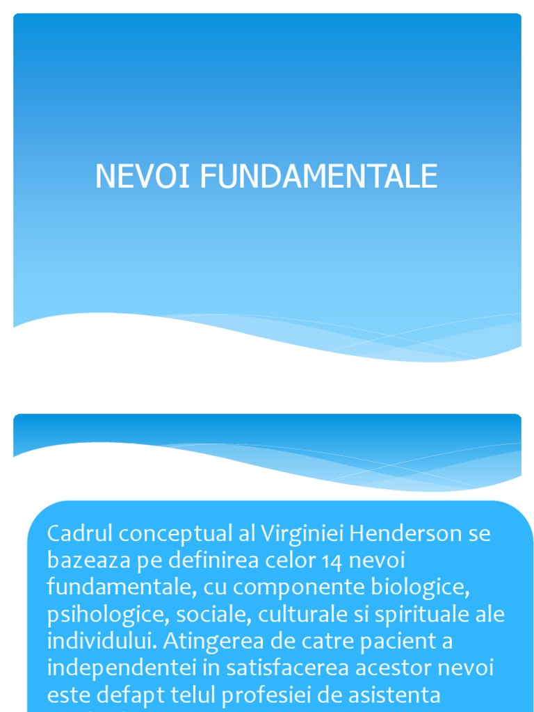 Cele 14 Nevoi Fundamentale | PDF