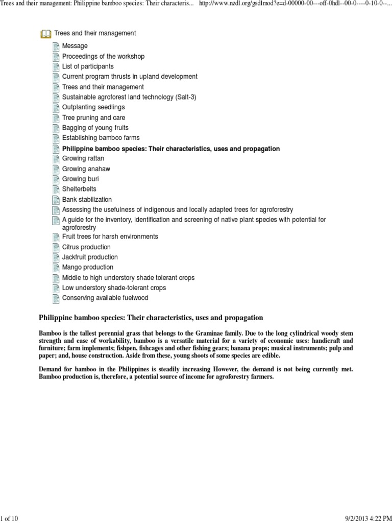 Bamboo Species - Propagation | Download Free PDF | Bamboo | Plant Nursery
