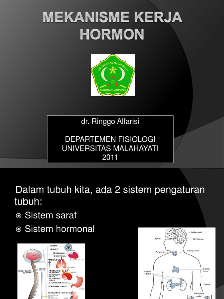 Mekanisme Kerja Hormon | PDF
