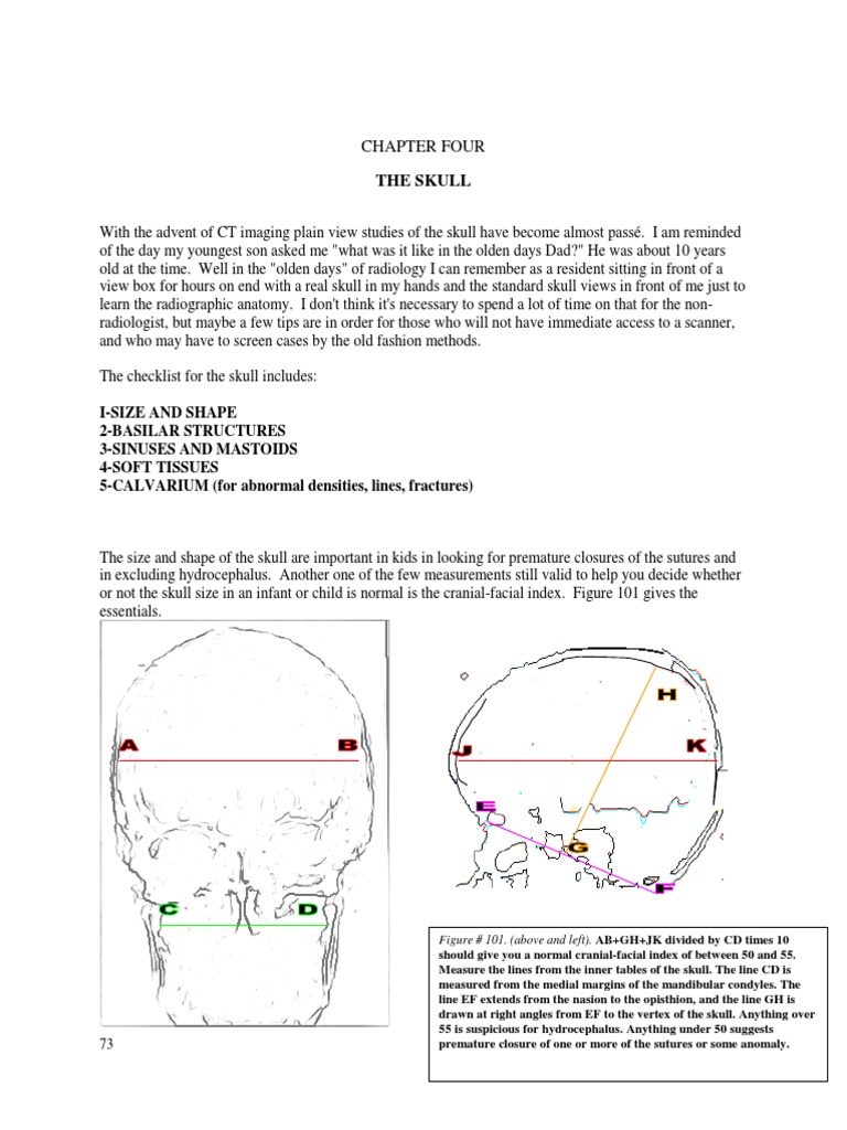 Chapter Four: The Skull | PDF | Bone | Human Anatomy