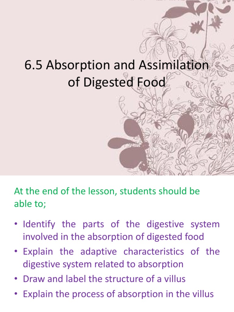 6.5 Absorption and Assimilation of Digested Food | PDF | Small ...