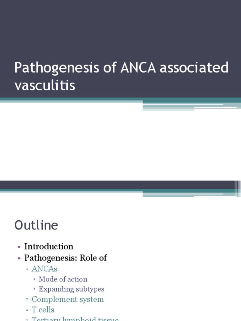 Pathogenesis ANCA Associated Vasculitis - PPTX FINAL | PDF