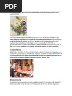 Ejemplos de Los Signos Naturales | PDF