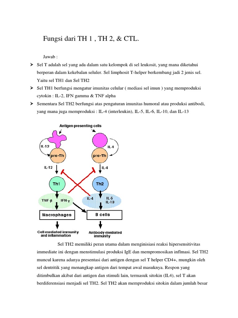 TH1 TH2 CTL | PDF