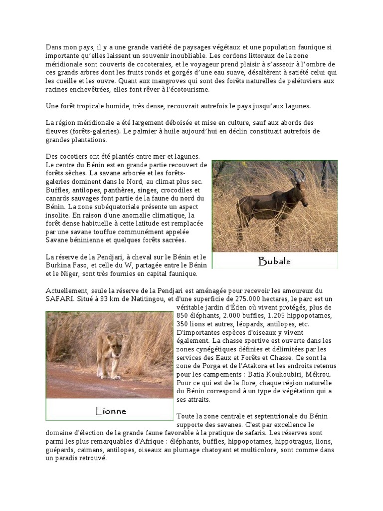 Benin Faune Et Flore | PDF | Forêt | Chasse