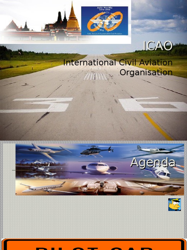 International Civil Aviation Organisation | Aviation | Government