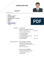 Ejemplo de CV Documentado | PDF | Ciencias de la Computación | Computadoras personales