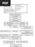 Coronary Artery Disease (CAD Pathophysiology) | PDF | Angina Pectoris ...