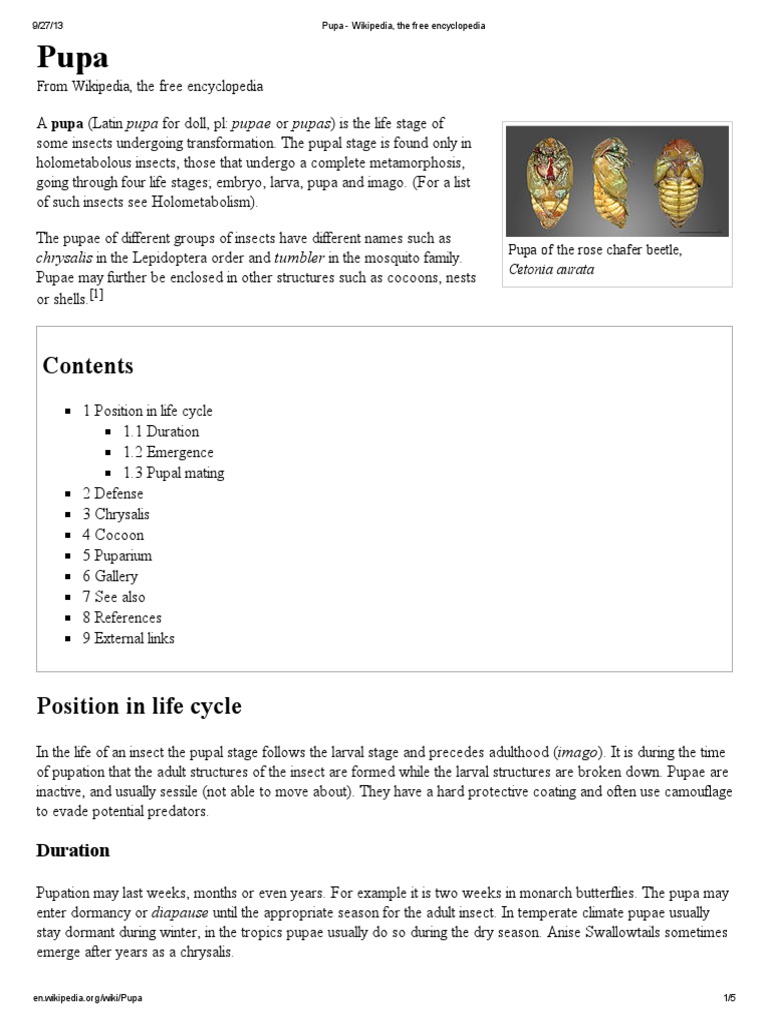 Chrysalis In The Lepidoptera Order And Tumbler In The Mosquito Family