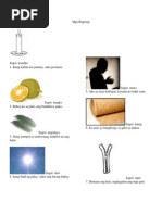 Mga Bugtong at Sagot | PDF