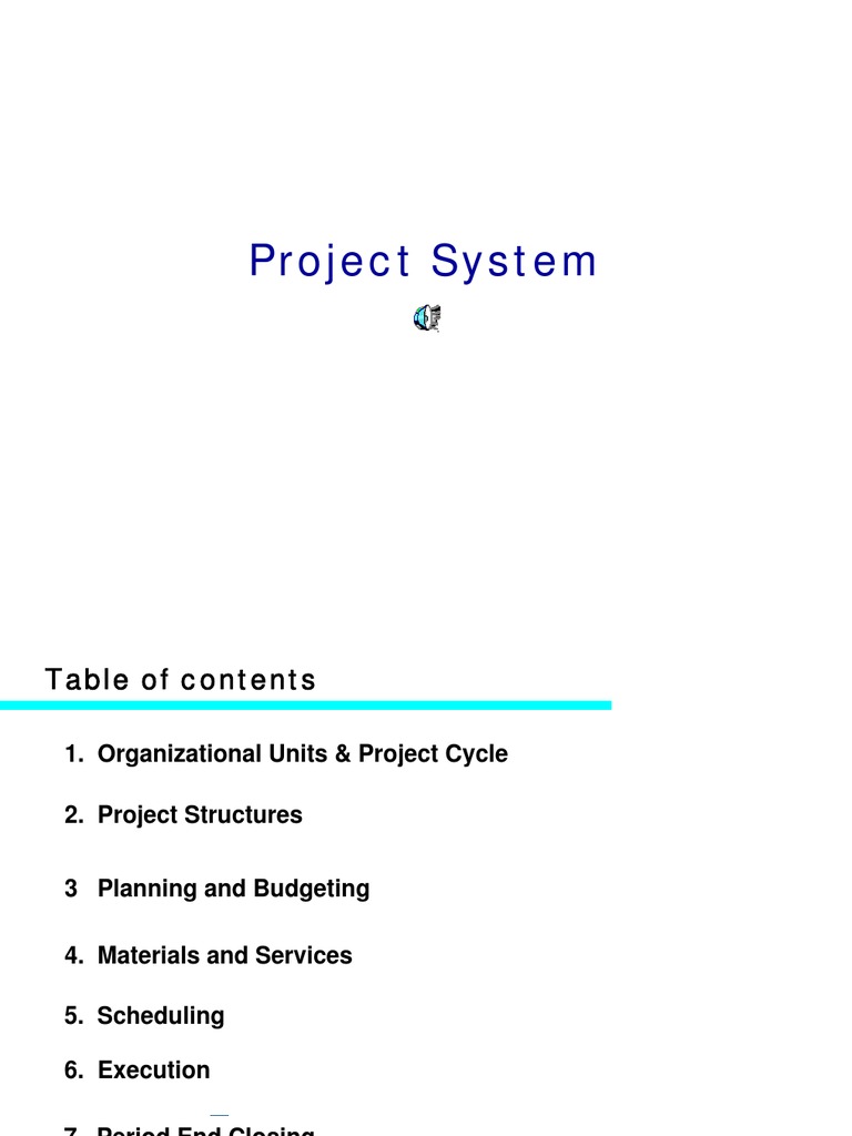 SAP Project Management Guide | PDF | Business