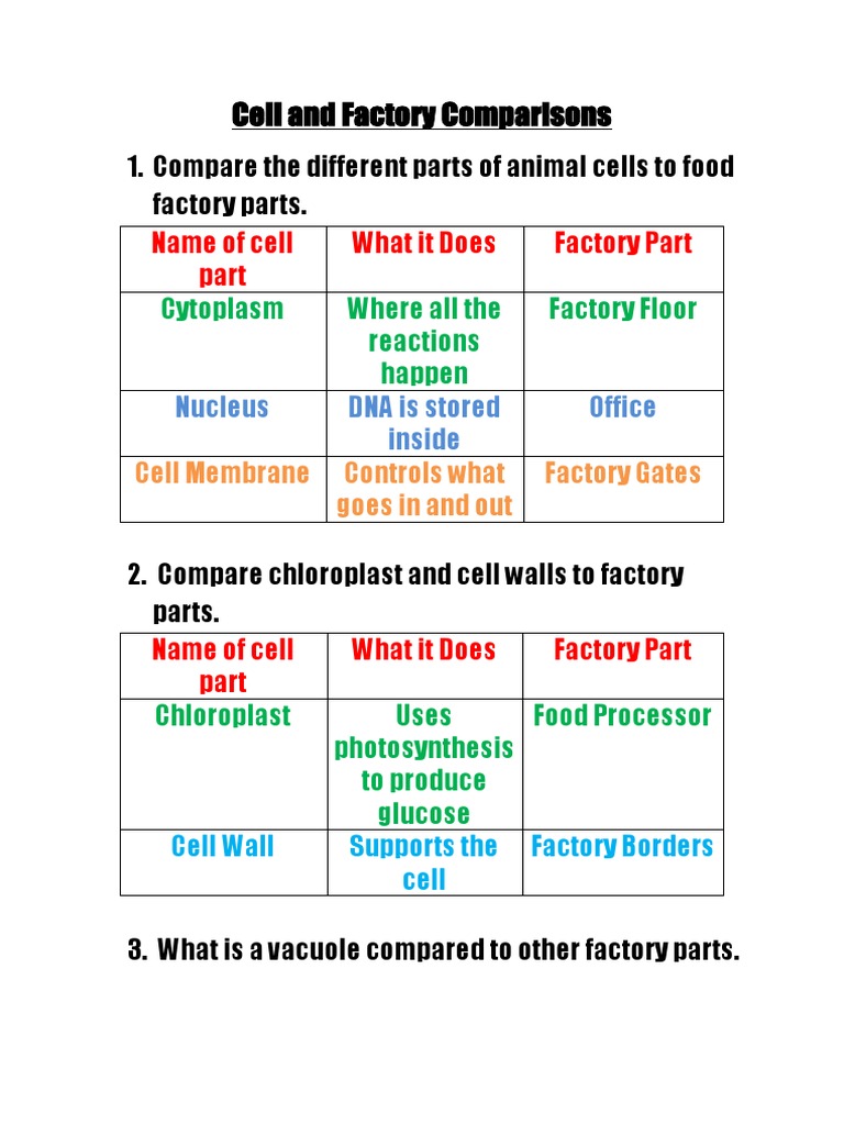 Cell and Factory Comparisons | PDF | Wellness | Technology & Engineering