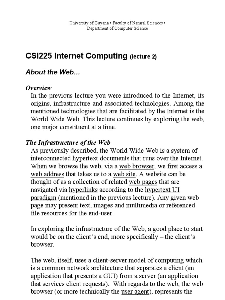 CSI225 Internet Computing: About The Web | PDF | Domain Name System | World Wide Web