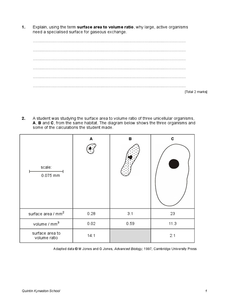 SA to vol ratio ALONG with | Surface Area | Sphere