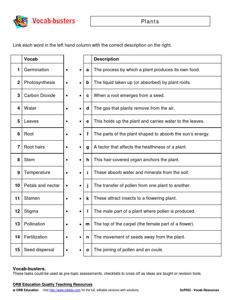 Plant Vocabulary Matching Guide | PDF