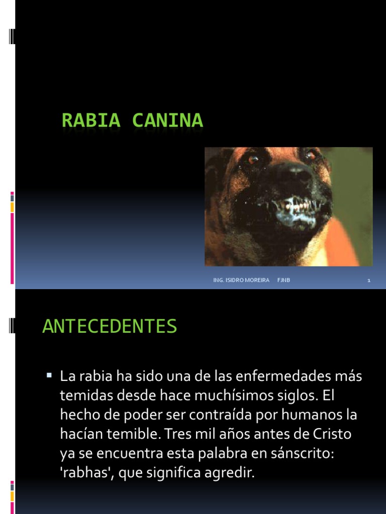 Rabia Canina Green | PDF | Rabia | Virus