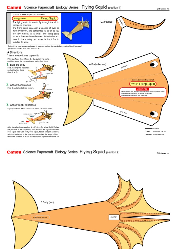 Squid Papercraft Origami | PDF
