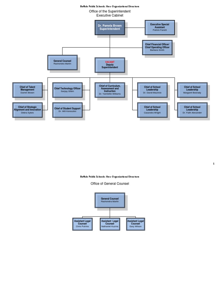 Public School Organization Chart