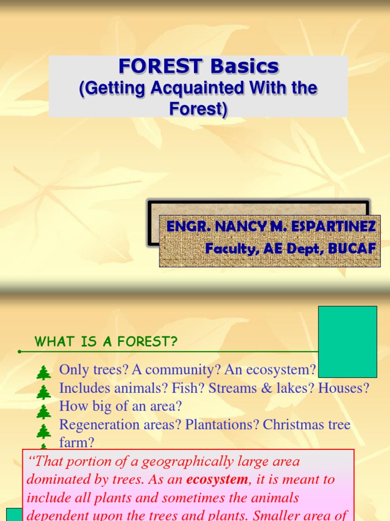 FOREST Basics: (Getting Acquainted With The Forest) | PDF | Forests | Trees