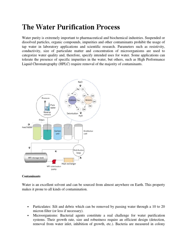 The Water Purification Process 2 | PDF | Water Purification | Filtration