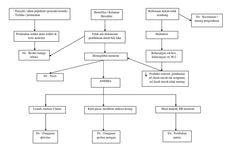 Patoflow Diagram Anemia | PDF