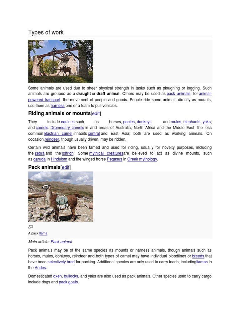 Types of Working Animals: A Comprehensive Look at How Various Species ...