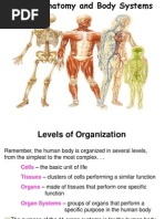The Human Body Systems Power Point | PDF | Human Body | Blood