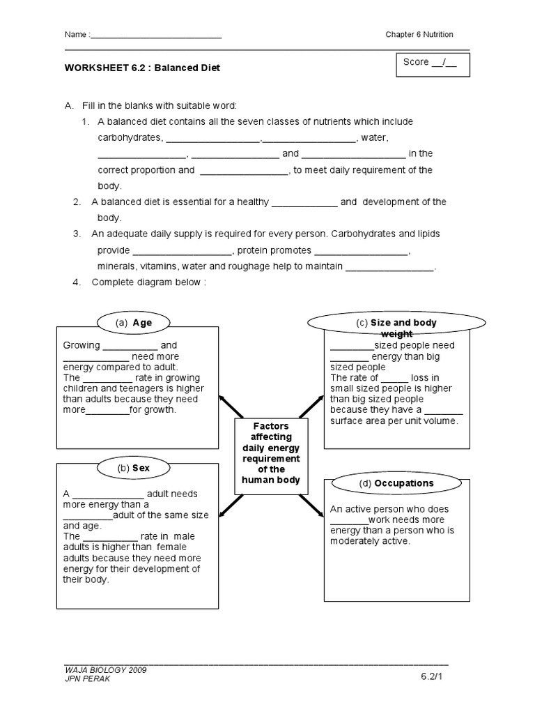 Worksheet 6.2 Balanced Diet | Healthy Diet | Nutrition