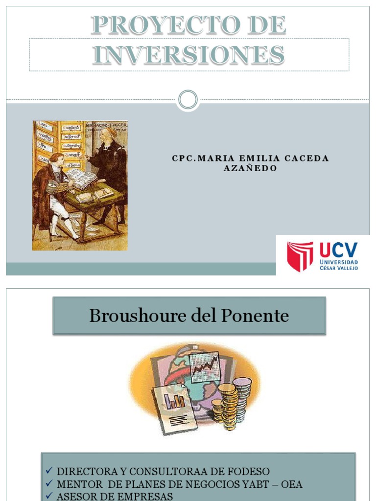 Plan de Inversiones | PDF | Inversiones | Economias