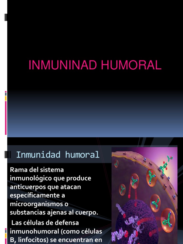 Expo Inmunidad Humoral | PDF | Inmunidad humoral | Anticuerpo