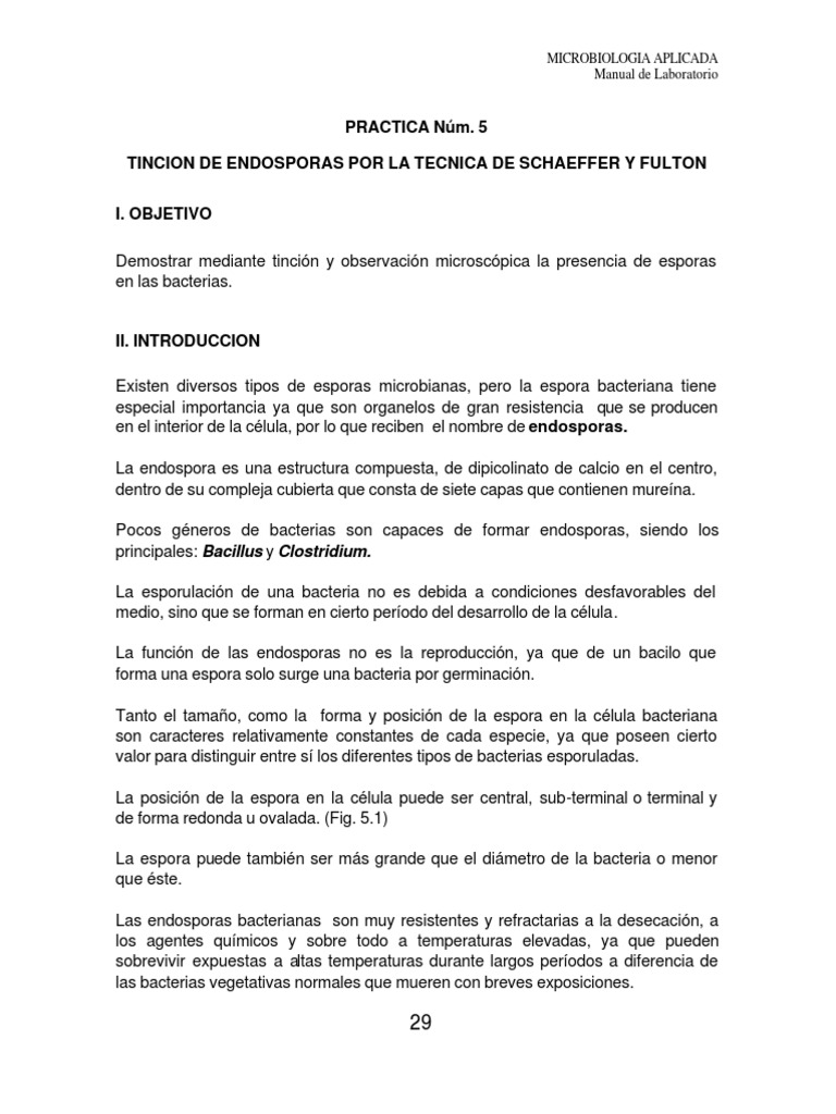 Tincion Schaeffer y Fulton | Las bacterias | Microbiología