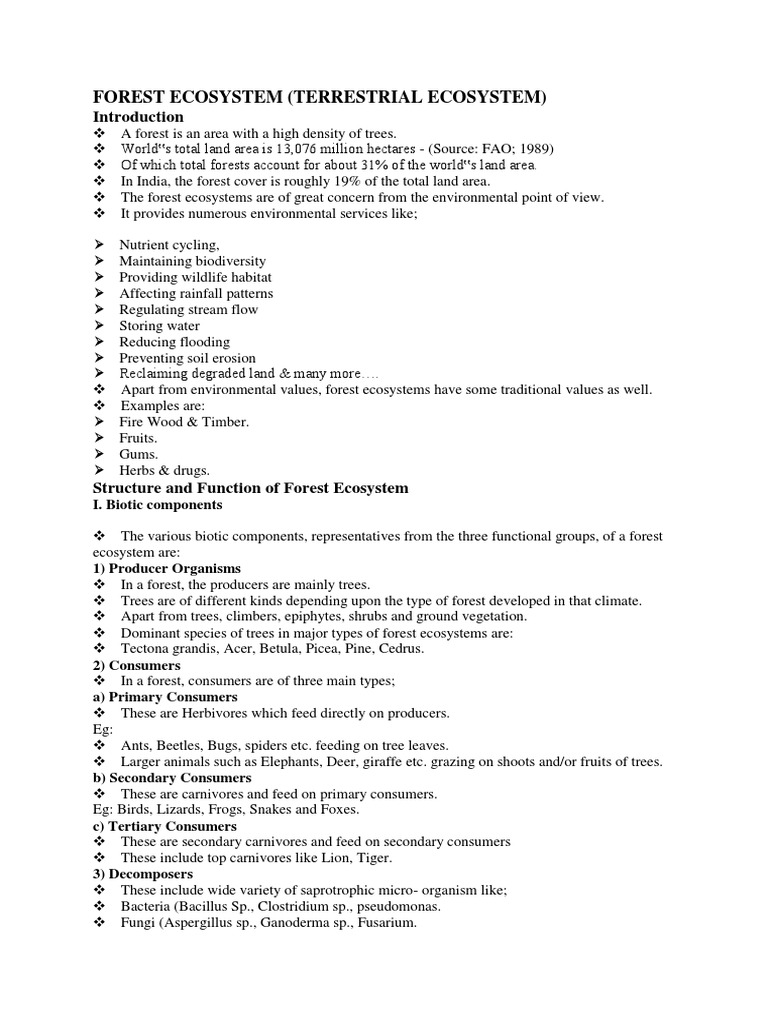 Forest Ecosystem | PDF | Forests | Ecosystem