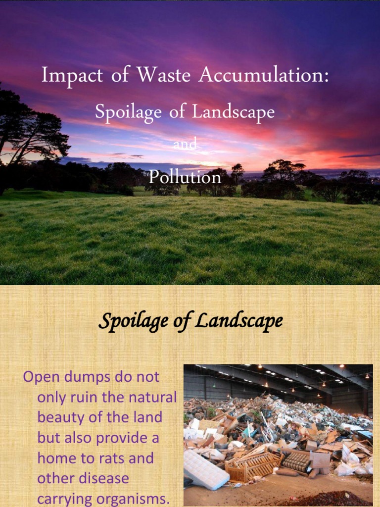 Impact of Waste Accumulation | PDF | Waste | Environmental Technology