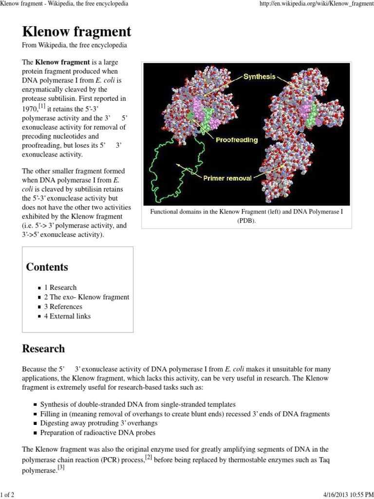 Klenow Fragment - Wikipedia, The Free Encyclopedia | PDF ...