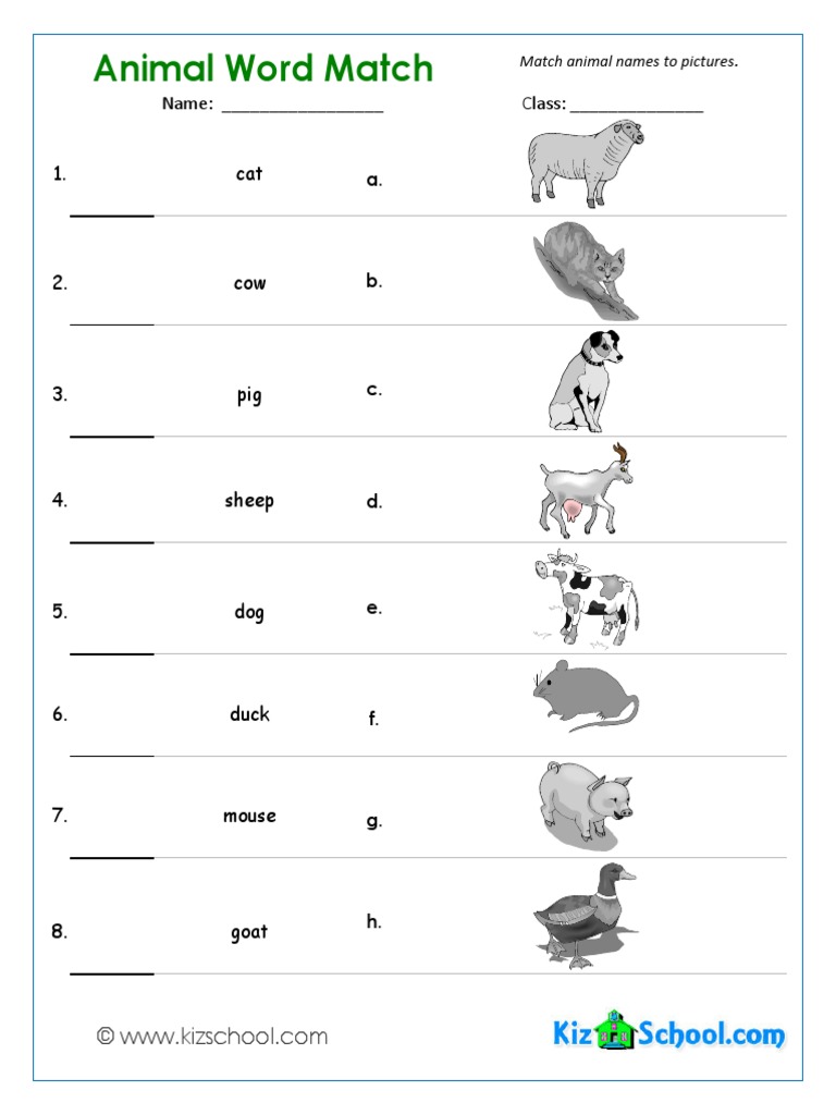 Animal Word Match: Name: - Class | PDF | Language Arts & Discipline