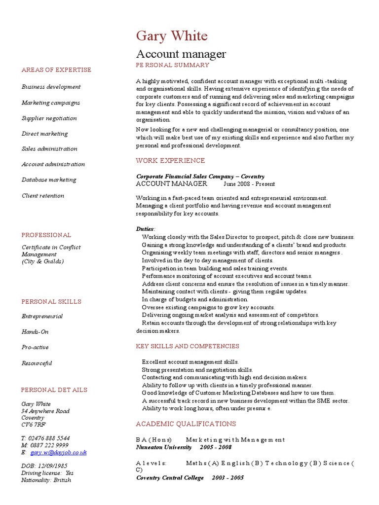 Professional CV Format in Pakistan | PDF | Sales | Leadership