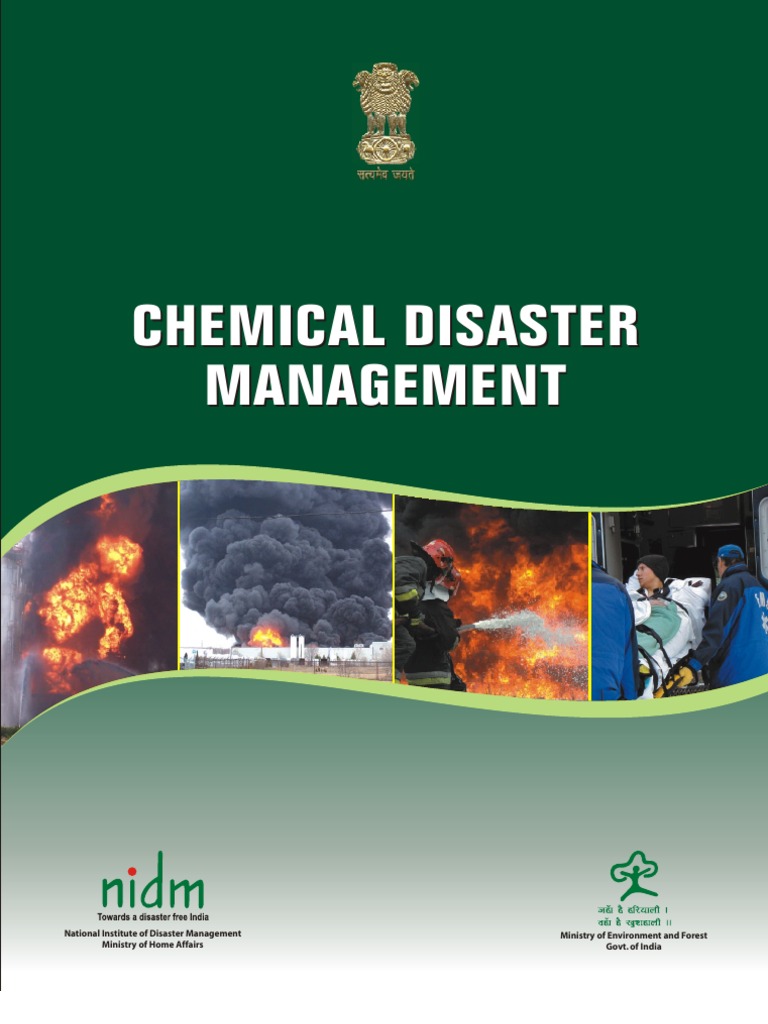 Proceedings CDM | PDF | Emergency Management | Risk Management