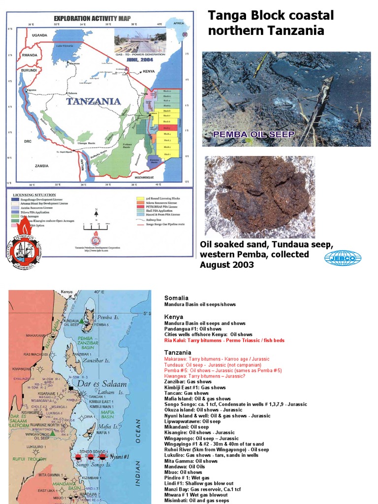 Tanzania's Oil Reserves Overview | PDF | Petroleum Reservoir | Resource ...