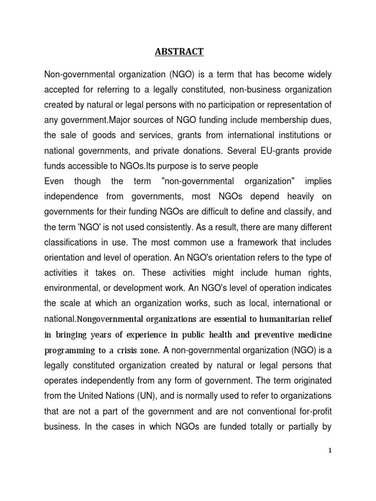 Ngo Project Report Capacity Building Non Governmental Organization