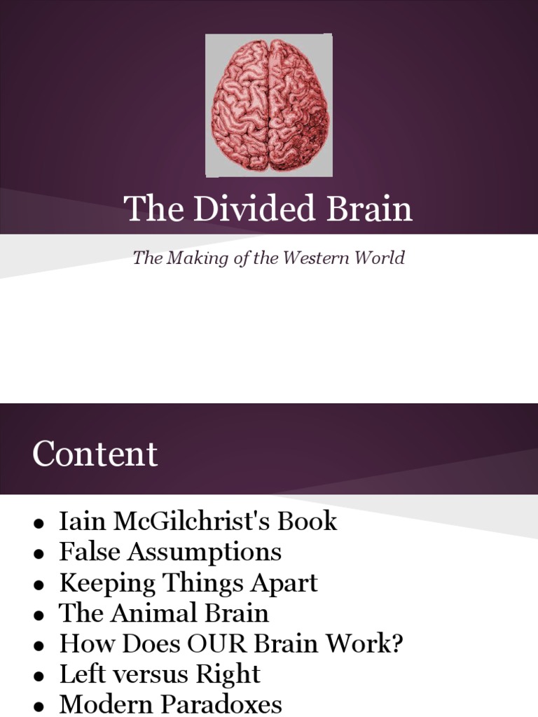 The Divided Brain | PDF