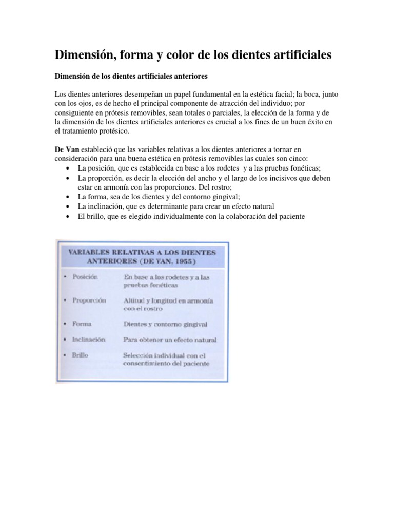 Dimensión, Forma y Color de Los Dientes Artificiales | PDF | Dentadura ...