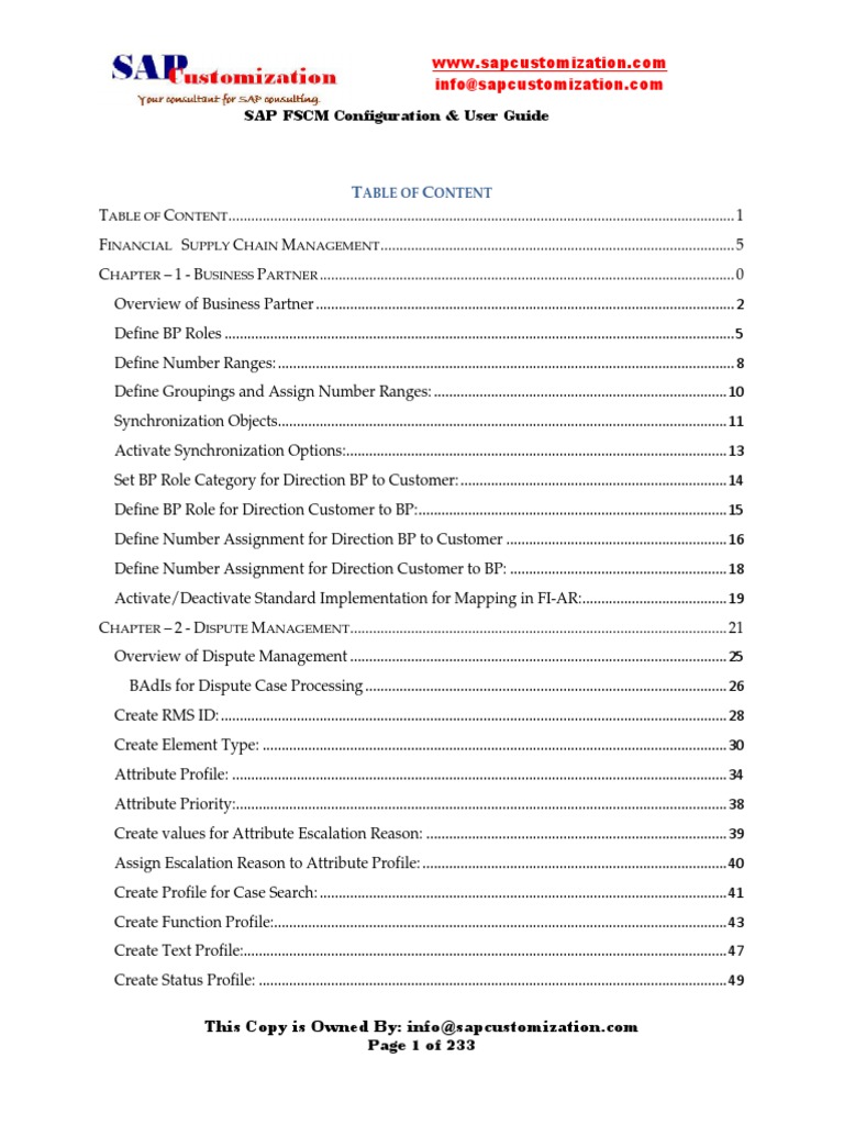 Sample FSCM Config User Guide | PDF | Sap Se | Business Process