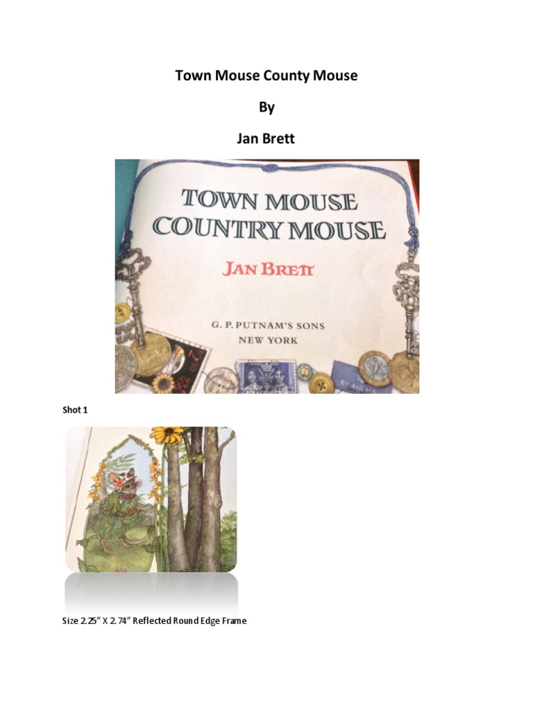 Town Mouse County Mouse by Jan Brett | PDF | Leisure