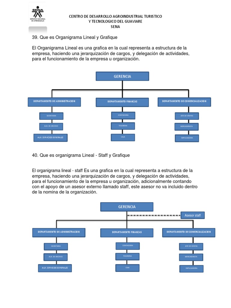 Organigrama Lineal y Staff | PDF