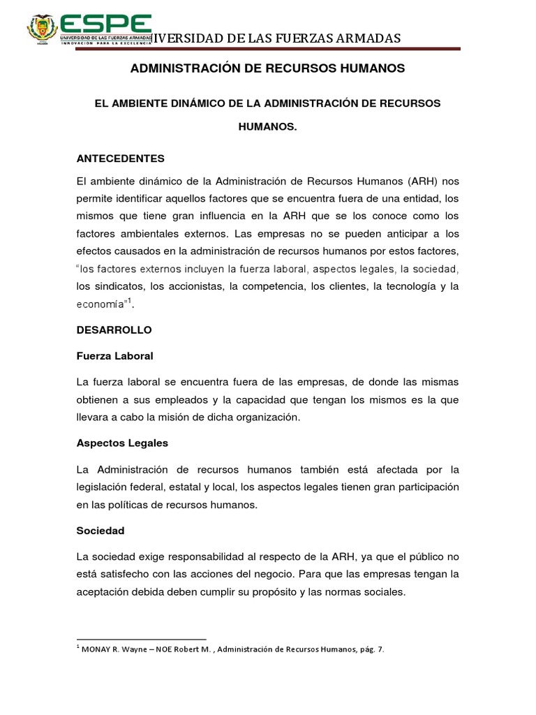 Informe Recursos Humanos | PDF | Recursos humanos | Derecho laboral