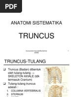 Origo dan Insersio Otot Manusia | PDF