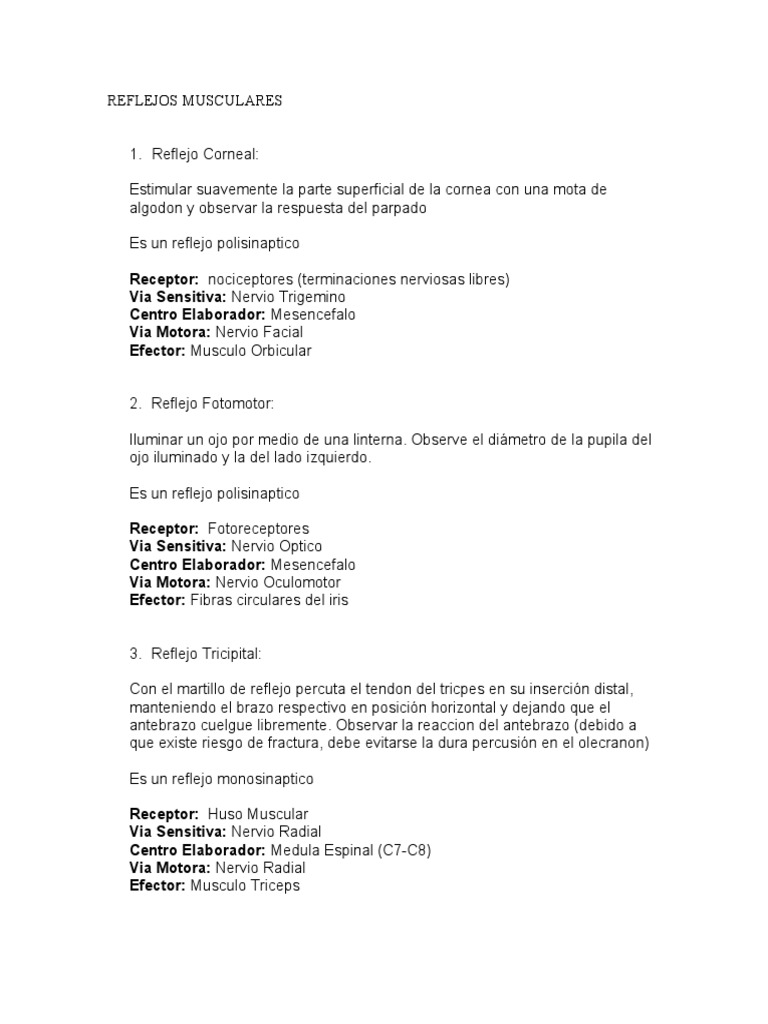 Reflejos Musculares | PDF