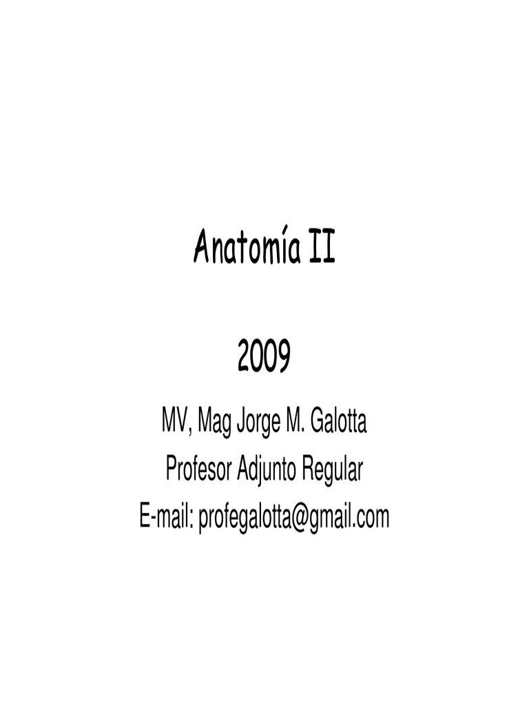 Anatomía del Tórax: Estructura y Función | PDF | Tórax | Pulmón