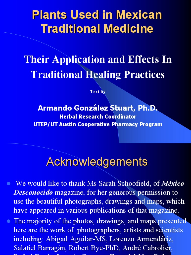 Plants Used in Traditional Mexican Medicine: A Concise Guide | PDF ...
