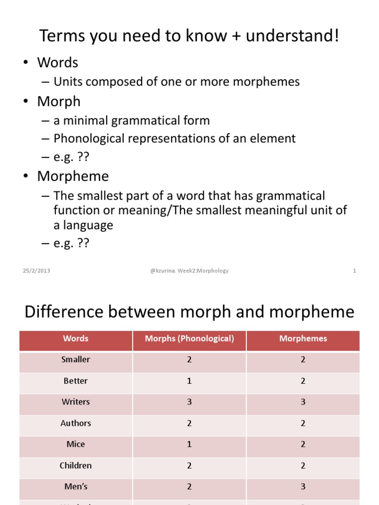 Terms You Need To Know + Understand!: - Words - Morph | PDF | Language ...